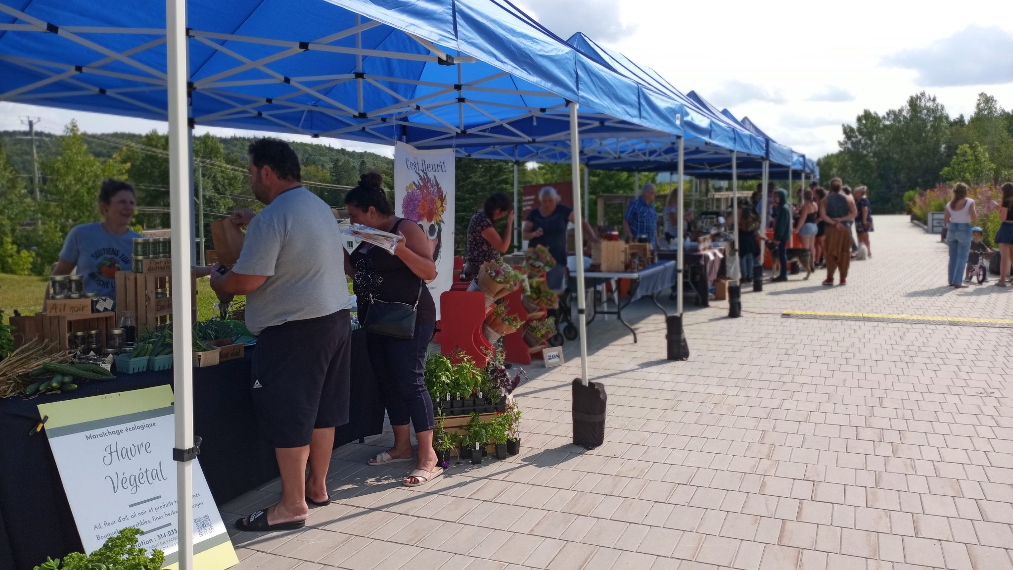 Saint-Donat, c'est tout naturel de célébrer ! - Municipalité de Saint Donat